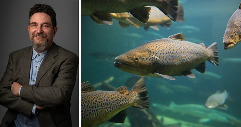 Advancing River Management for Biodiversity: Exploring the inSALMO ...